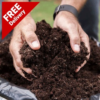 Online Garden Centre | Garden Plants